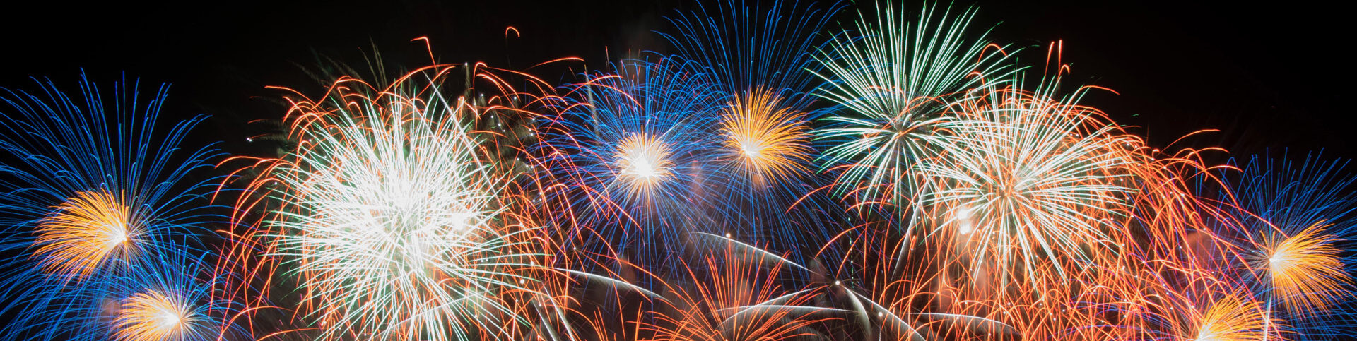 What are the Different Types of Firework?